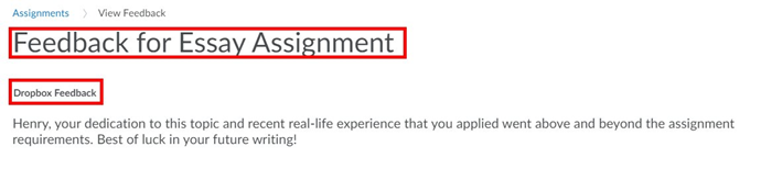 How to Review Dropbox Feedback