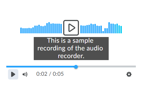 User Guide: Audio Recorder