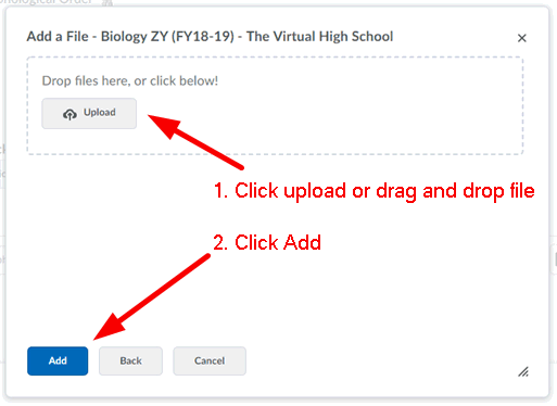 How to Use the Dropbox