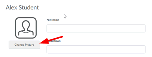 How to Edit Your Profile