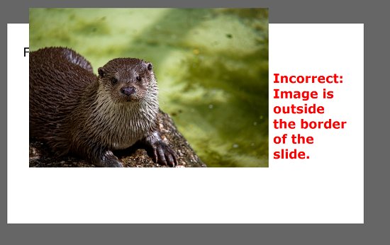 How to Insert Images in Presentations