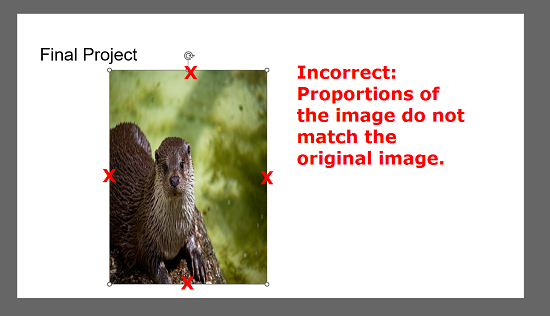 How to Insert Images in Presentations